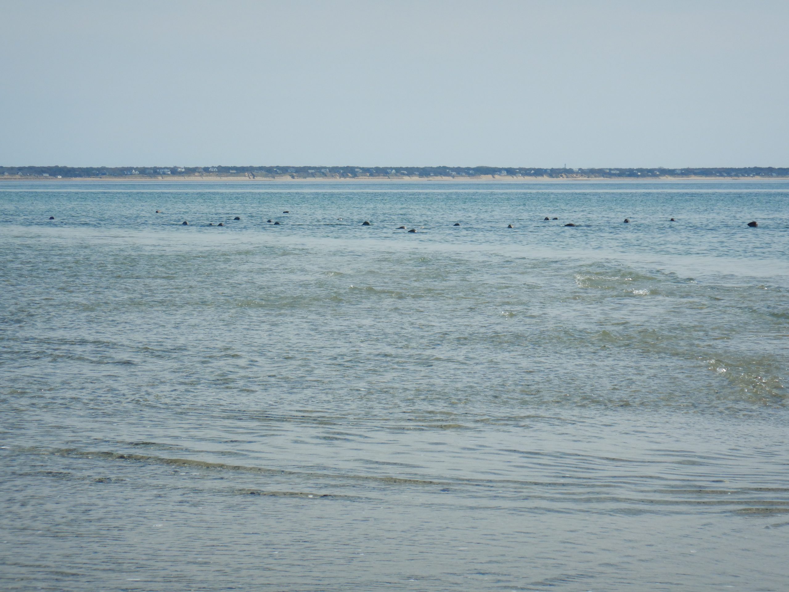 Paddle Log 2020-10-24: Target Ship and Billingsgate Shoals | Rob's Blog